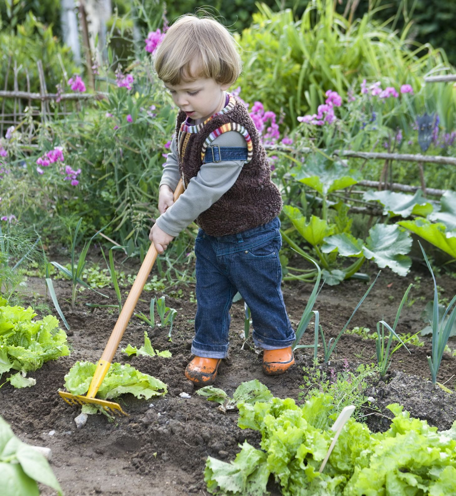 Să-i învăţăm pe cei mici să planteze! | Copii, Homepage Slider ...