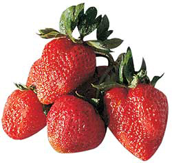 Capsunile | avantaje.ro