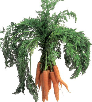 Morcovul | avantaje.ro