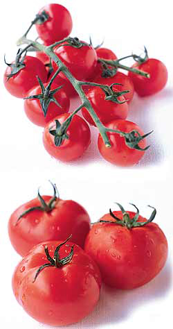 Rosiile | avantaje.ro