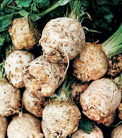 Telina | avantaje.ro