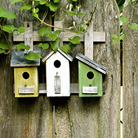 Amenajeaza-ti gradina in stil rustic | avantaje.ro