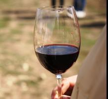 Primul vin Cabernet din plantaţia Aliman | avantaje.ro