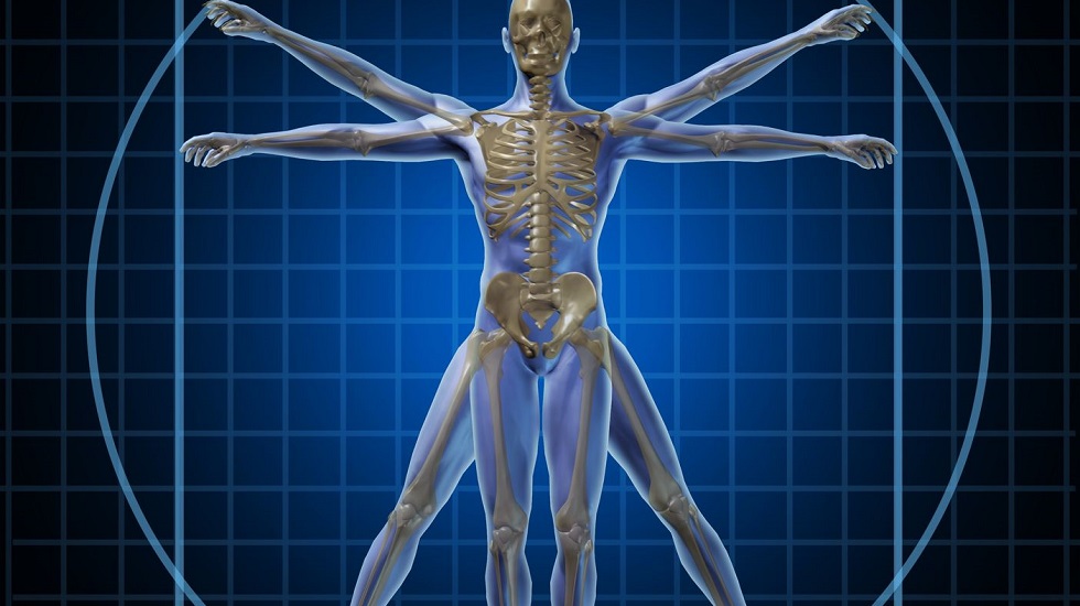 Bioritmul organelor interne | avantaje.ro