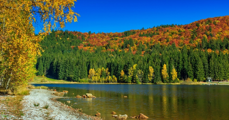 4 locuri din România unde te poți bucura de peisajele de toamnă ...