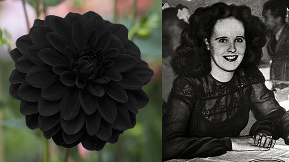 Personalitățile născute în Zodia Leului pe 29 iulie. Află cine s-a ...