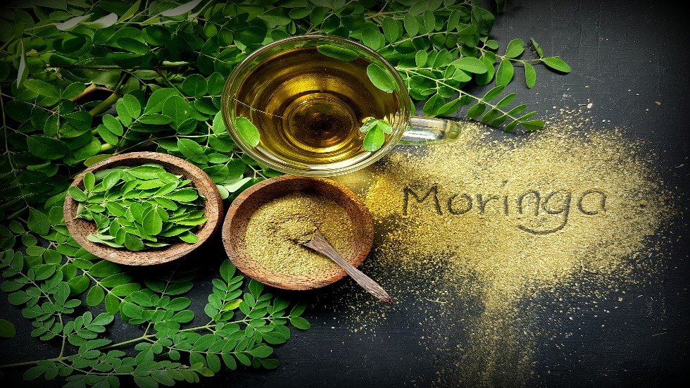 Ai auzit ce poate face moringa? Este planta care vindecă sute de boli ...