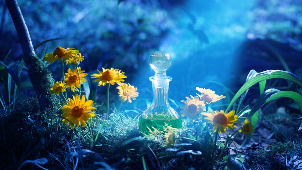 5 poțiuni magice pentru aflarea viitorului | avantaje.ro