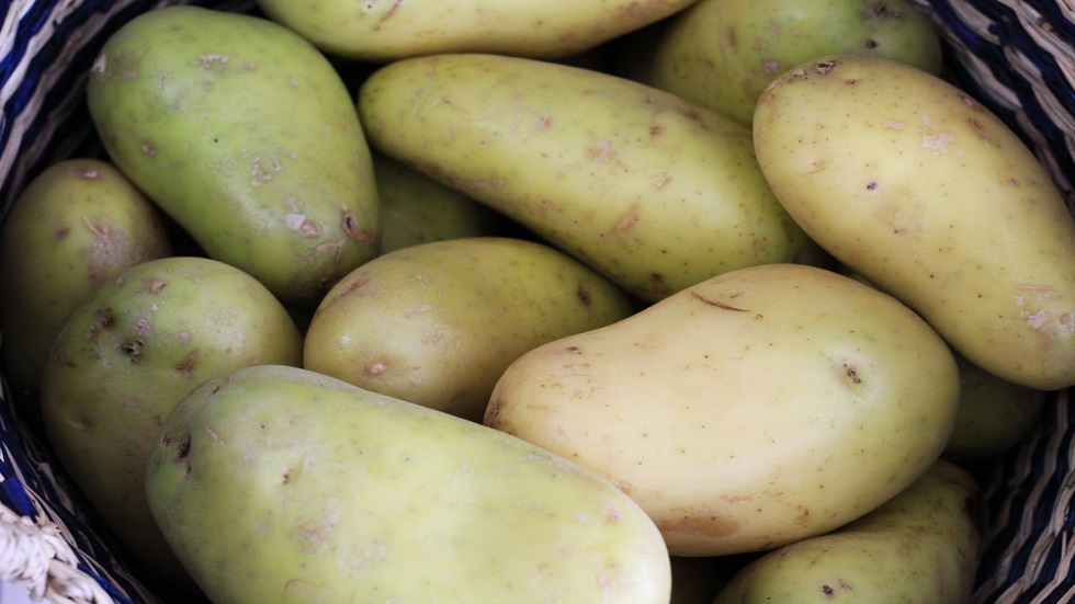 De ce sunt periculoși cartofii înverziți și încolțiți? | avantaje.ro