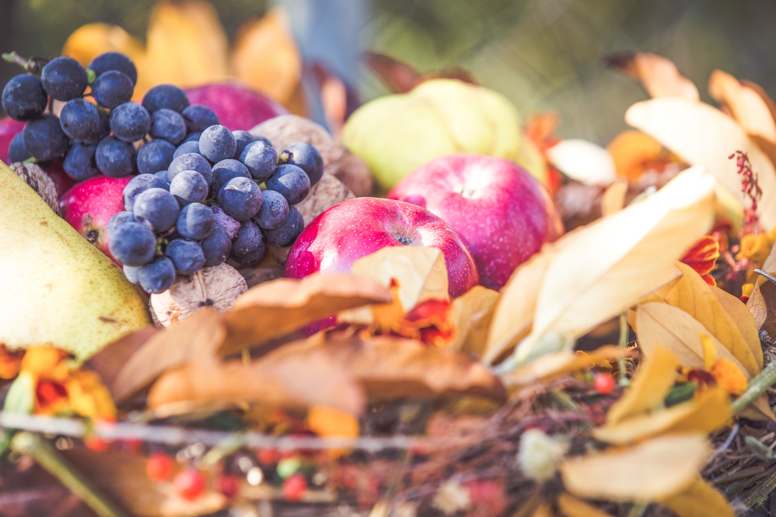 Fructele de toamnă. Care sunt beneficiile lor pentru sănătate?