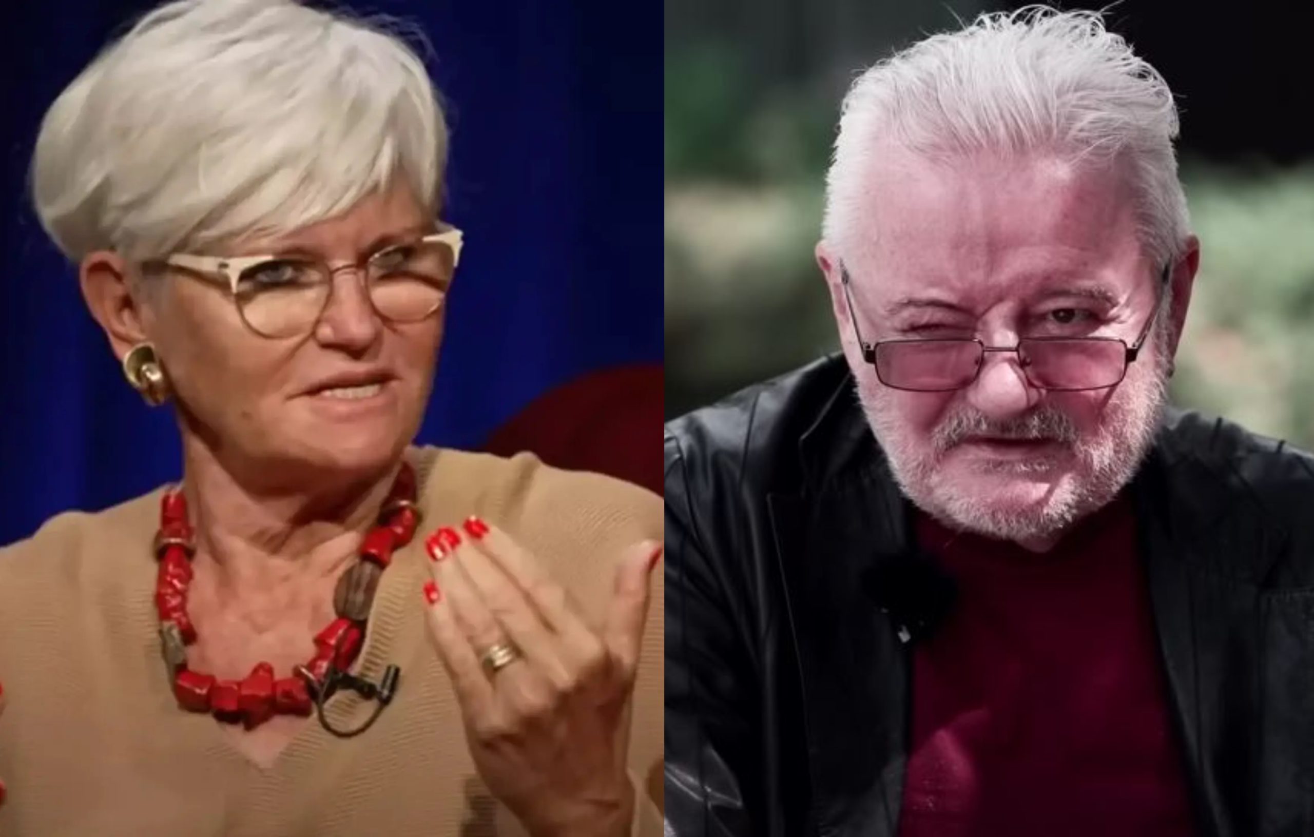 Monica Tatoiu, declarații dure la adresa lui Irinel Columbeanu după ce ...