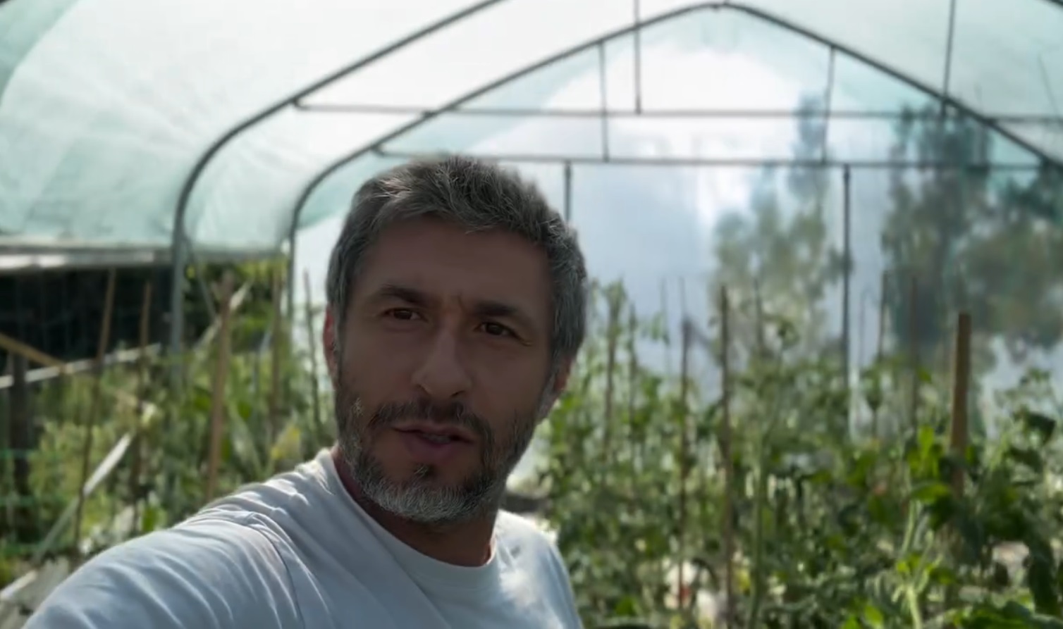 Cum arată solarul cu roșii și castraveți al Danei Nălbaru și al lui ...